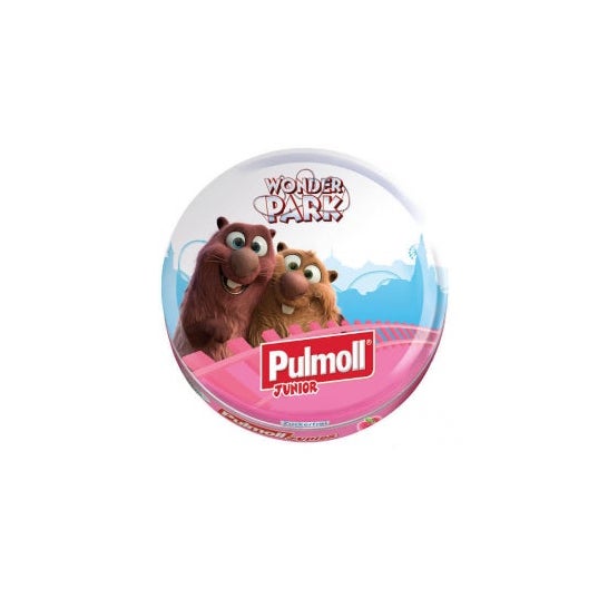 Pulmol Wonderpark Past Framb 50G | DocMorris PT